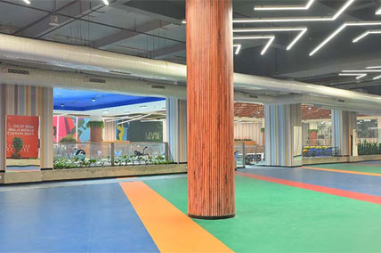 MVN - Exercise & Sports Academy